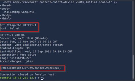 Tryhackme Walkthrough Protocols And Servers