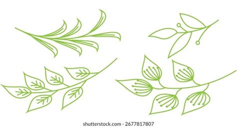 Collection Dividers Shape Templates Modern Separator Stock Vector