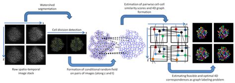 Biological Image Analysis Video Computing Group