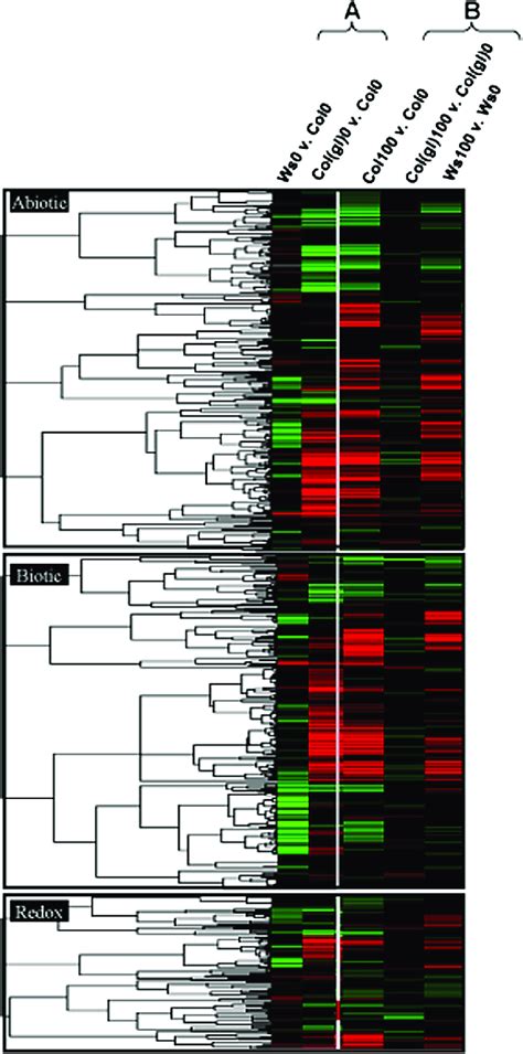 Cluster Analyses Of Differentially Expressed Abiotic Stress Biotic
