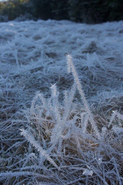 Premium Photo Close Up Of Snow
