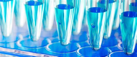 High Quality Pbmc Processing Services