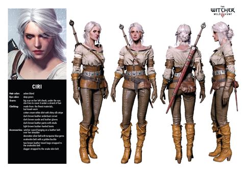 Image The Witcher 3 Wild Hunt Pc 104 Character Sheet Game