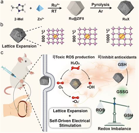Lattice Expansion As A New Strategy For Improving Catalytic Activity