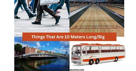 10 Things That Are 10 Meters Long Big