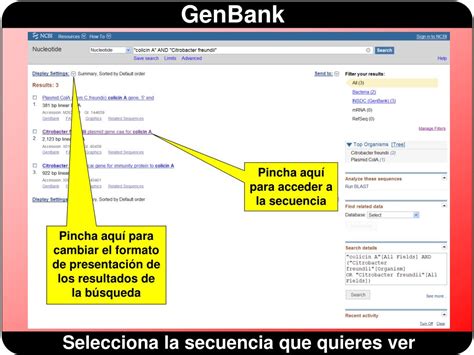 Ppt International Nucleotide Sequence Database Collaboration Powerpoint Presentation Id 5726514