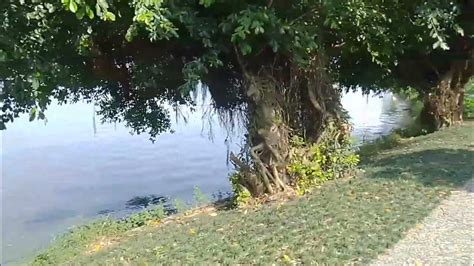內定綠塘水岸公園 Youtube