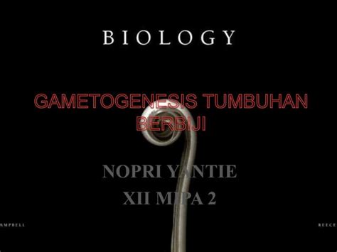 Ppt Gametogenesis Tumbuhan Berbijipptx