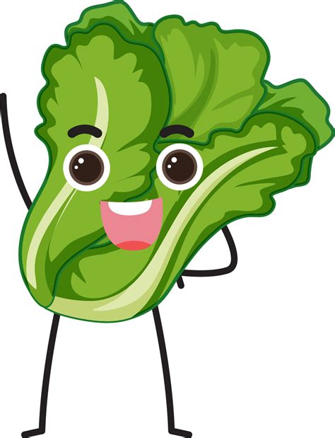 Lettuce Cartoon Vector Art Icons And Graphics For Free Download