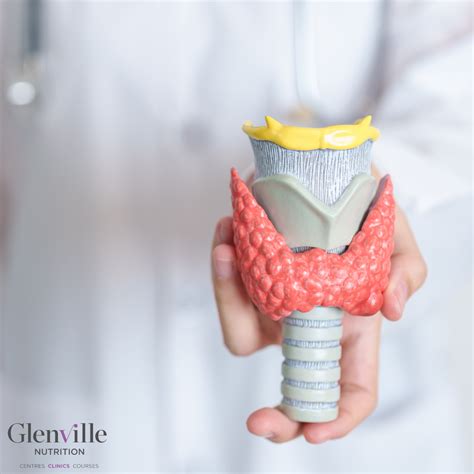 Thyroid Problems Glenville Nutrition Clinic