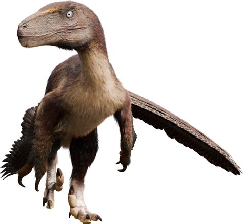 Deinonychus Facts App