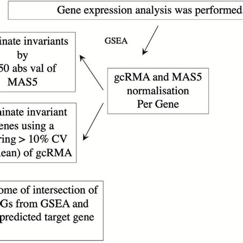 Process Of Gene Target Identification And Transcriptomic Analysis