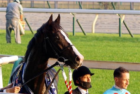 11月20日東京競馬★東スポ2歳ステークス★優勝★イクイノックス★口取り写真★記念撮影 公式：黒澤ひかりのキラキラ日記～magic