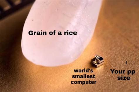 Pp A Grain Of Rice The Worlds Smallest Computer Know Your Meme