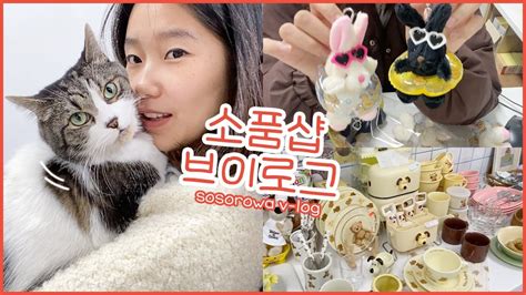소품샵 브이로그 소소로와 사장의 하루 크리스마스 준비를 곁들인🎄🎅🏻 Youtube