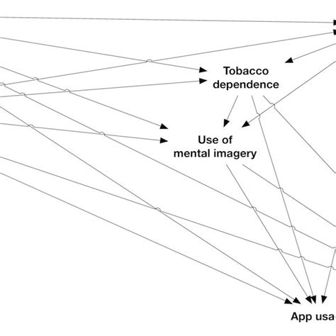 Directed Acyclic Graph Showing Hypothesized Relationships Among