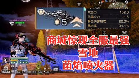 雪地强典藏商城惊现全服最强雪地箘焰喷火器明日之后生存攻略抄家 明日之后攻略 小米游戏中心