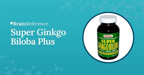Super Ginkgo Biloba Plus Review 8 Reasons To Consider