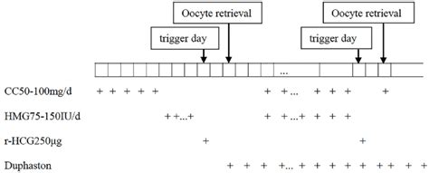 Double Ovarian Stimulation Protocol During The Follicular And Luteal