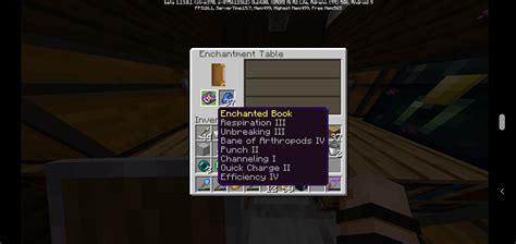 What Is This A Bug R Minecraft