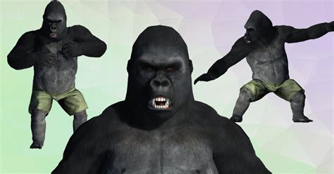 Hdrp Orangutan