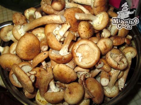 Топ 10 найнебезпечніших дитячих іграшок Топ найнебезпечніших іграшок для дітей