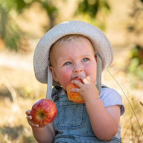 Become A Nursery Partner Nursery Kitchen