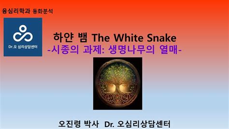 하얀뱀 생명나무의 열매 Youtube