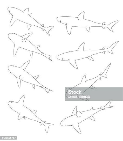 흰색 배경에 고립 된 검은 선과 다른 위치에있는 상어의 윤곽선으로 설정됩니다 아이소메트릭 뷰 벡터 일러스트레이션 개념에 대한