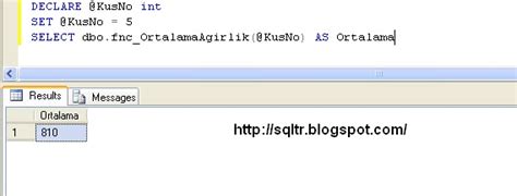 sql transact sql türkçe kaynak ve uygulamalar sql server da fonksiyon