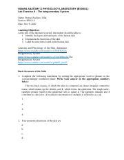 Lab Exercise 8 The Integumentary System Pdf Docx HUMAN ANATOMY PHYSIOLOGY LABORATORY BIO001L
