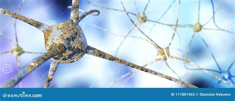 neuron neural network nerve node stock illustration illustration