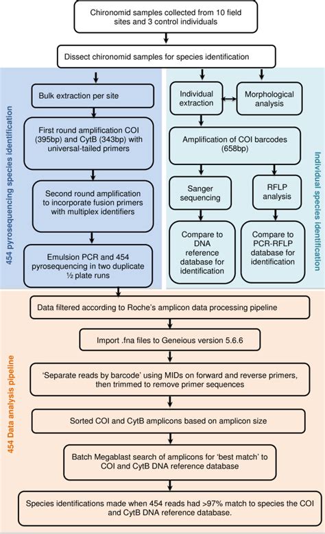Experimental Design And Data Analysis Pipeline The First Half Of The Download Scientific