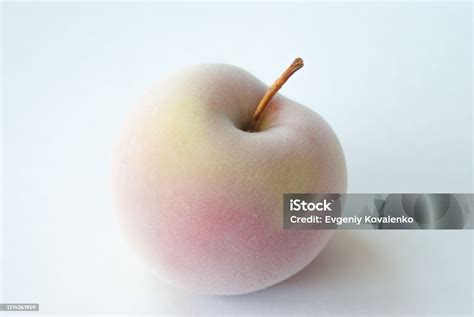 흰색 배경에 Hoarfrost와 냉동 사과 과일에 대한 스톡 사진 및 기타 이미지 과일 크리스마스 0명 Istock