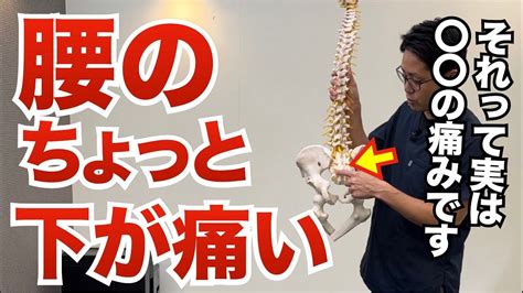 それって腰痛じゃなくて〇〇。腰の下あたりが痛い原因と治し方 ｜京都市北区 もり鍼灸整骨院【2023】 坐骨神経痛のエクササイズ 腰痛 鍼灸