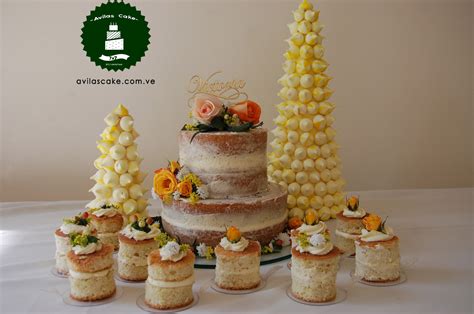 Torta Desnuda Con Mini Tortas Avila S Cake