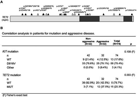 Tet2 Mutations In Human Mastocytosis Patient Cohort A The Tet2 Gene Download Scientific