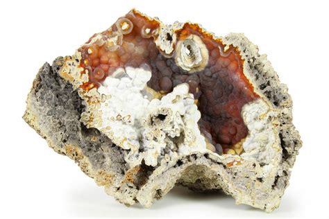 6 75 Agatized Fossil Coral Geode Florida 271614 For Sale
