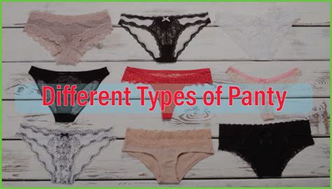 The 17 Best Types Of Panty Every Woman Should Know Textile Apex