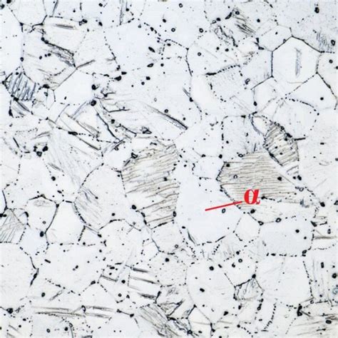 Microstructure Of Commercially Pure Titanium Sm Co Mag 200x Download Scientific Diagram