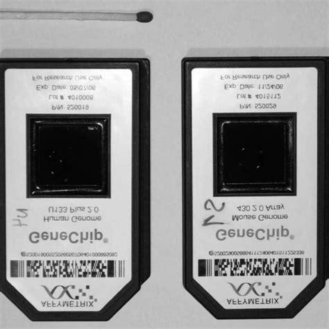 Microarray Chips Made By Affymetrix Company Download Scientific Diagram