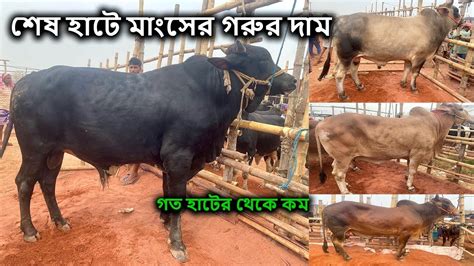 শেষ হাটে কেমন দামে গরু বিক্রয় হলো দেখুন 😱 সিটি হাট রাজশাহী Youtube