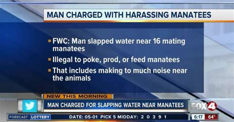 Man Facing Charges For Manatee Harassment