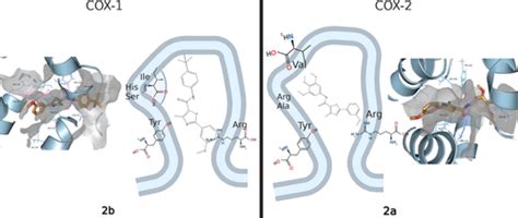 Open Access Articles