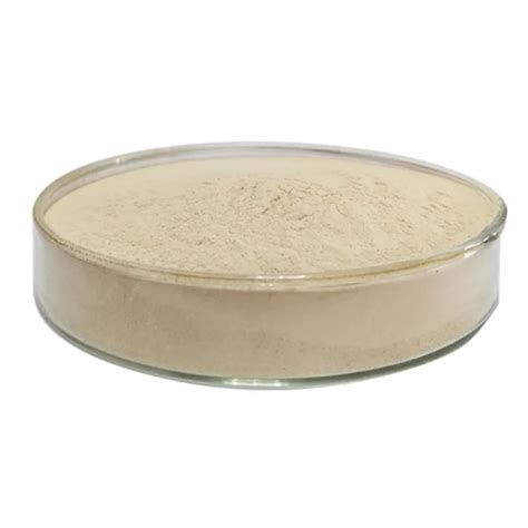 Bacillus Subtilis Soluble Water 300cfug High Quality Bacillus Subtilis Soluble Water 300cfug