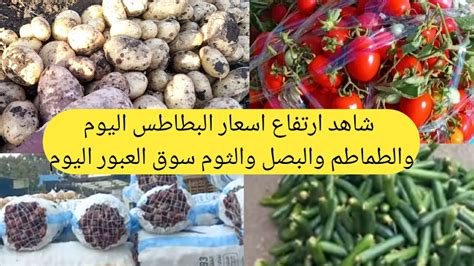 عاجل اليوم ارتفاع اسعار البطاطس وشاهد اسعار البصل والثوم واسعار الخضار