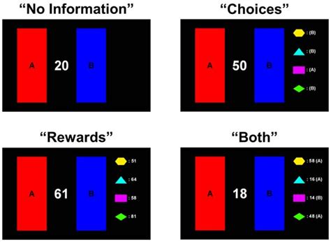 Figure 1 From The Neural Substrates Of Social Influence On Decision Making Semantic Scholar