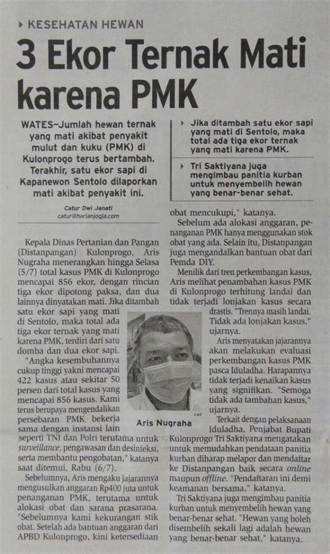 Pemkab 3 Ekor Ternak Mati Karena Pmk