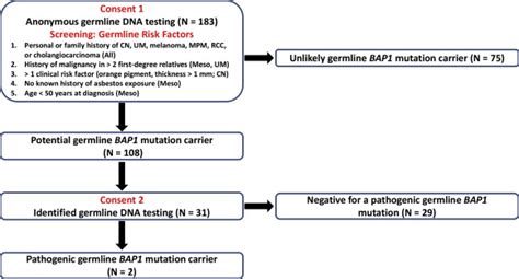 Life Expectancy Of Colon Cancer Metastasized To Liver And Lungs