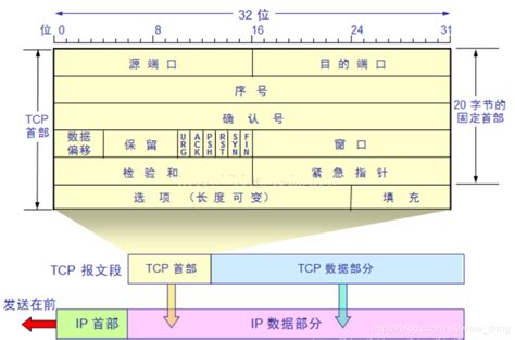 Tcp头部详解 Csdn博客